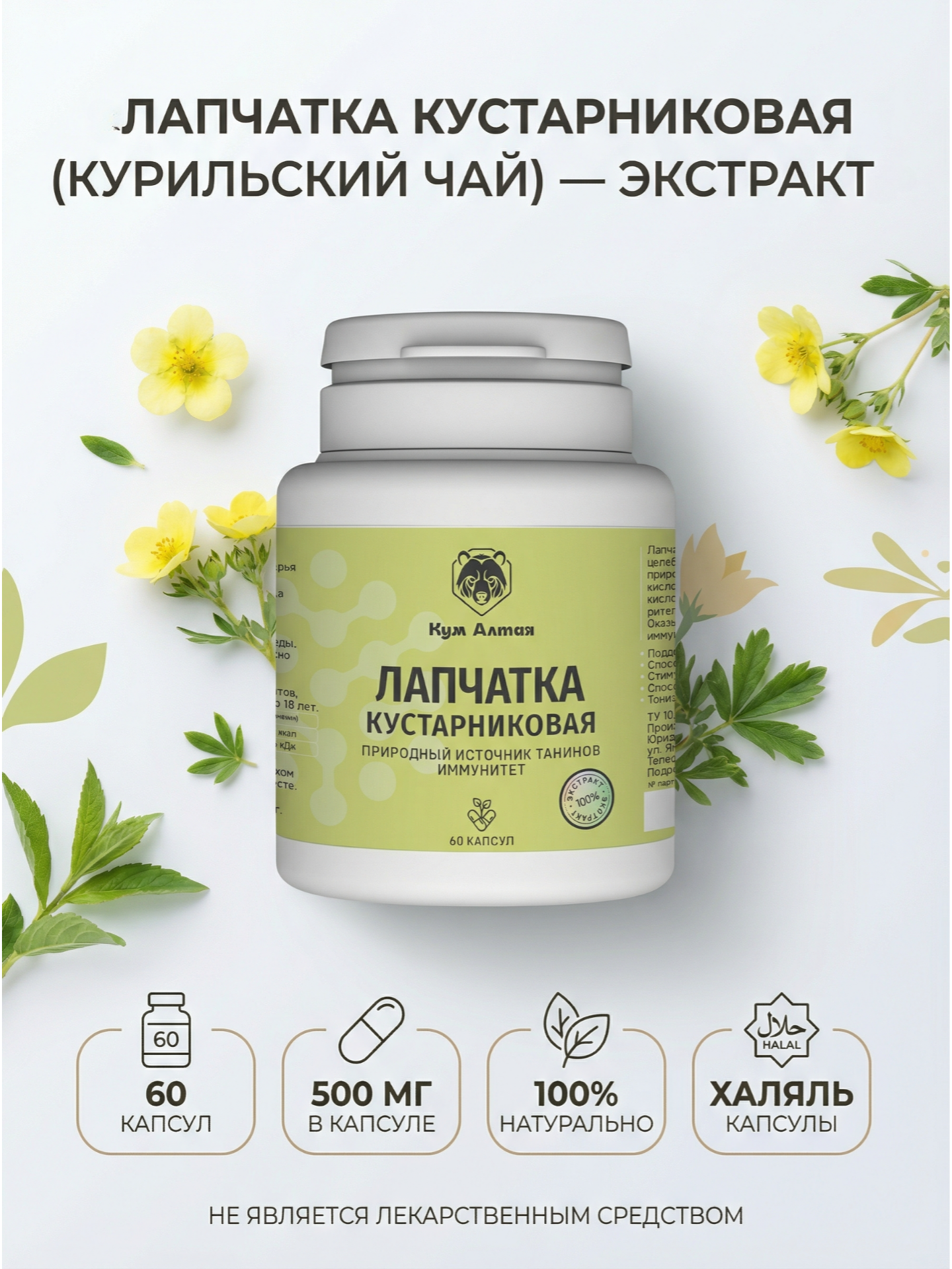 Лапчатка кустарниковая (экстракт курильского чая) КумАлтая, 60 капсул