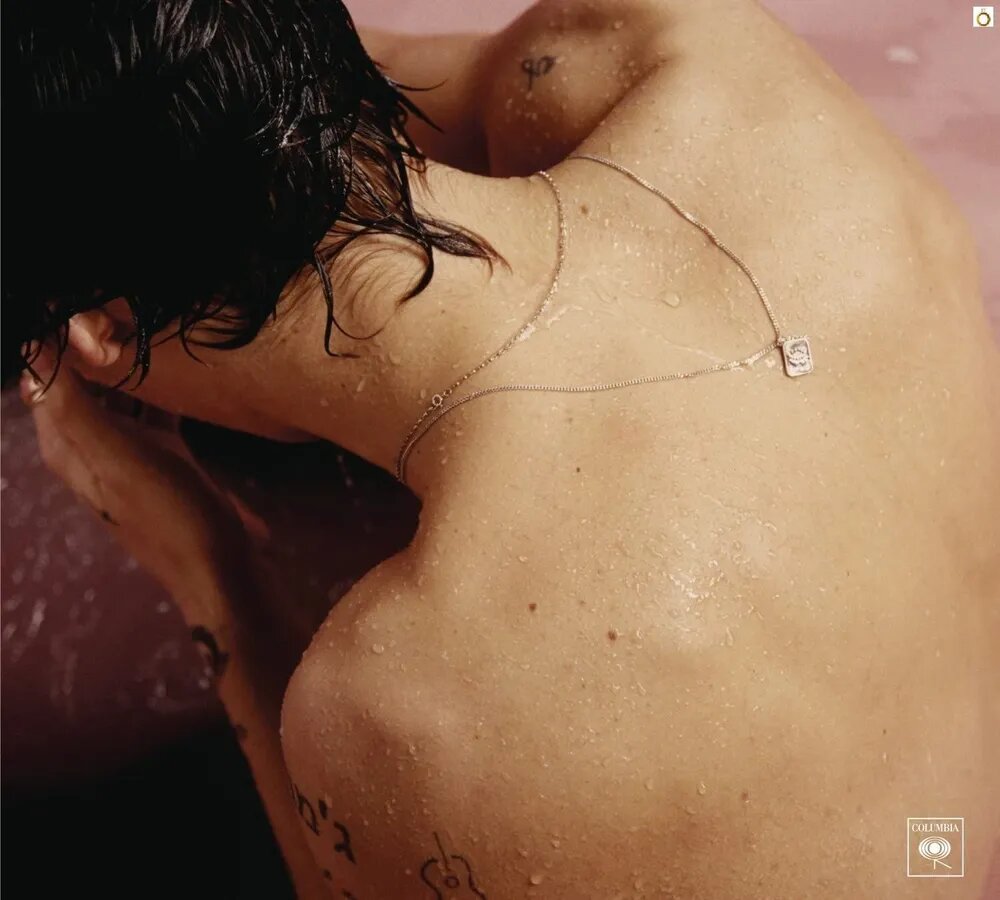 Виниловая пластинка Harry Styles (2017) - дебютный студийный альбом, стандартное издание, Европейский Союз — фото 1