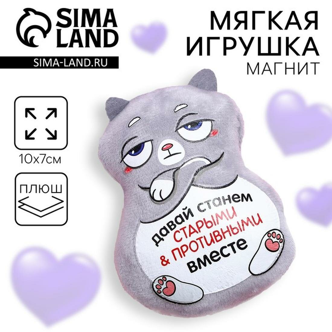 Мягкая игрушка- магнит "Давай станем старыми и противными вместе"