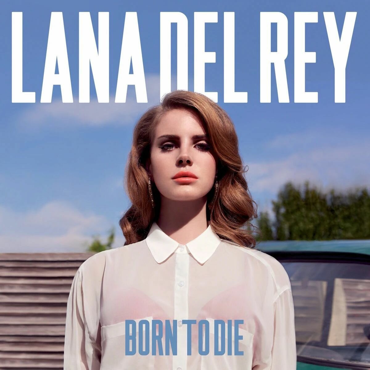 Lana Del Rey: Born To Die (CD), 2012, Polydor, Диск Музыкальный