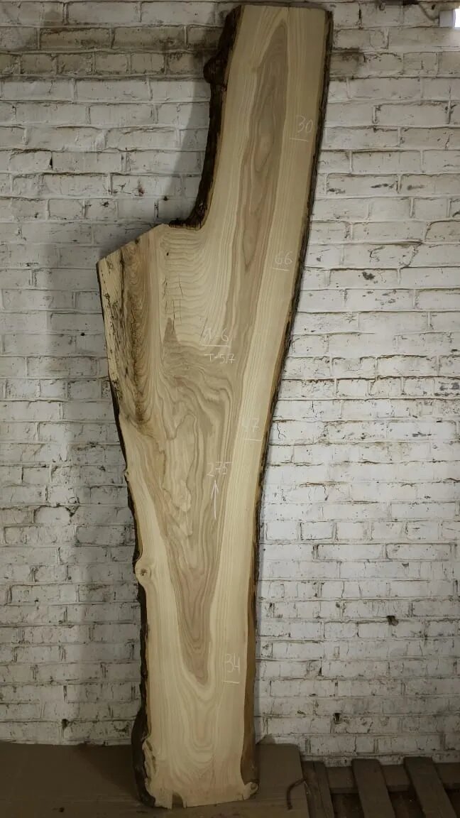 Слэб дерева Ясень Я6, выровнен в плоскости, влажность 10-11%