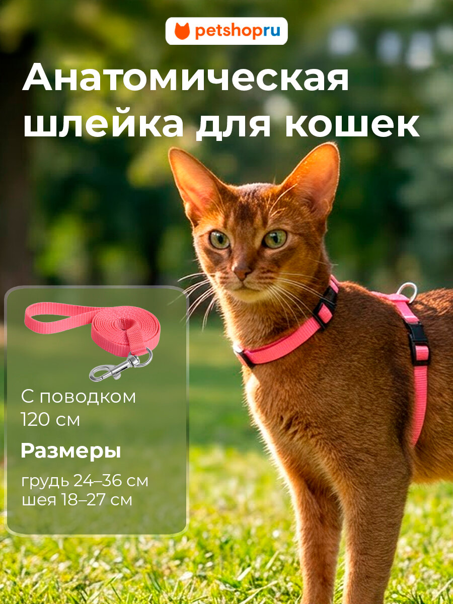 PETSHOP Шлейка с поводком для кошек "Мяу", 24-36 см, розовая