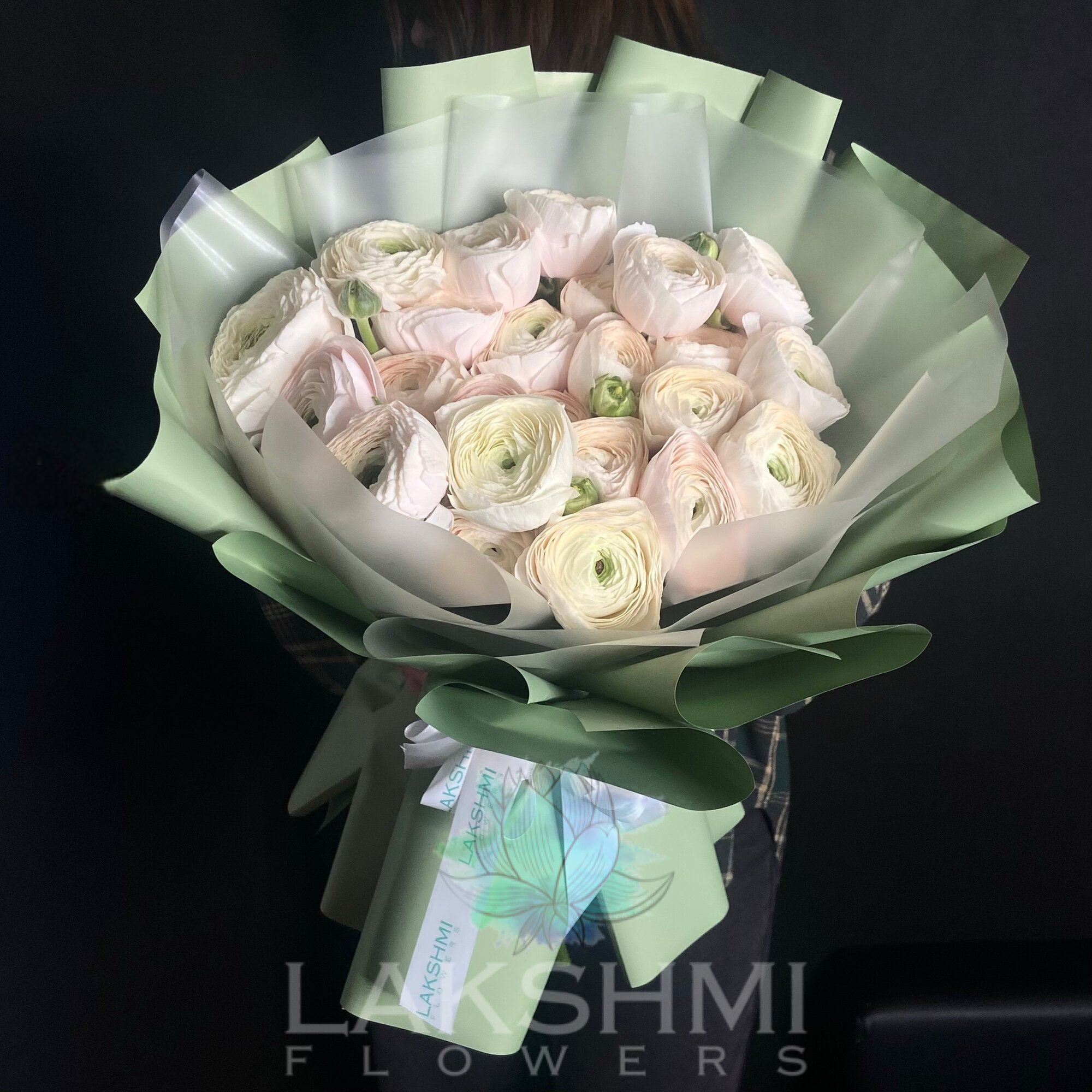 25 ранункулюсов / Букет из 25 кремовых ранункулюсов сорта «Ханой»