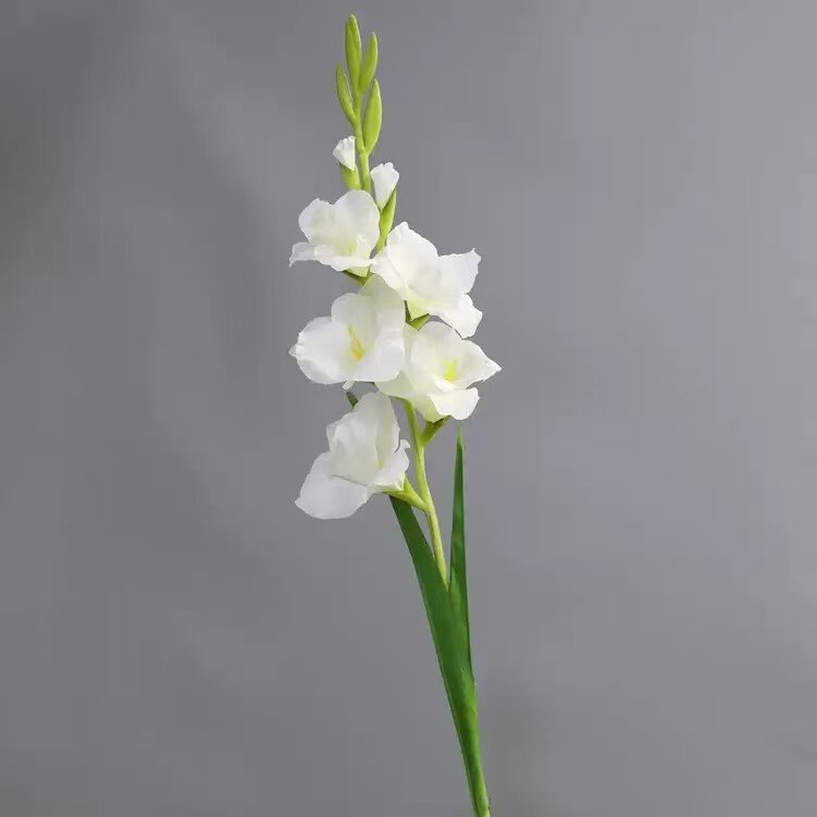 Ирис искусственный MEIHON, для декора дома, текстиль, 100%, 5 шт. W9×H70cm，Белый 1