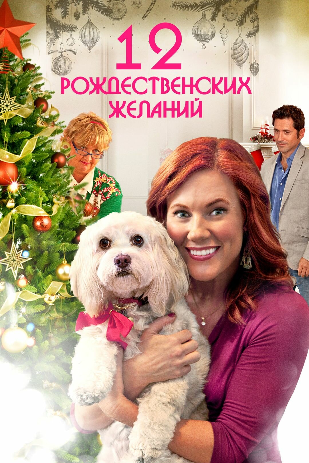 12 Рождественских желаний (2011, США)