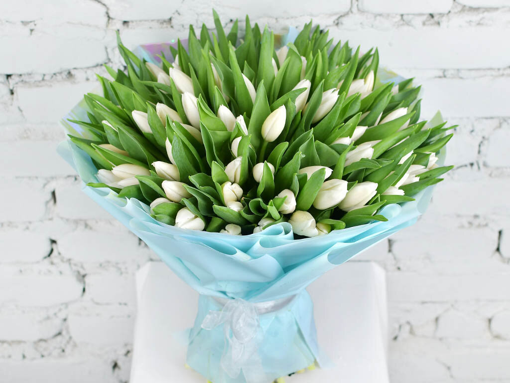 Букет 101 белый тюльпан в упаковке