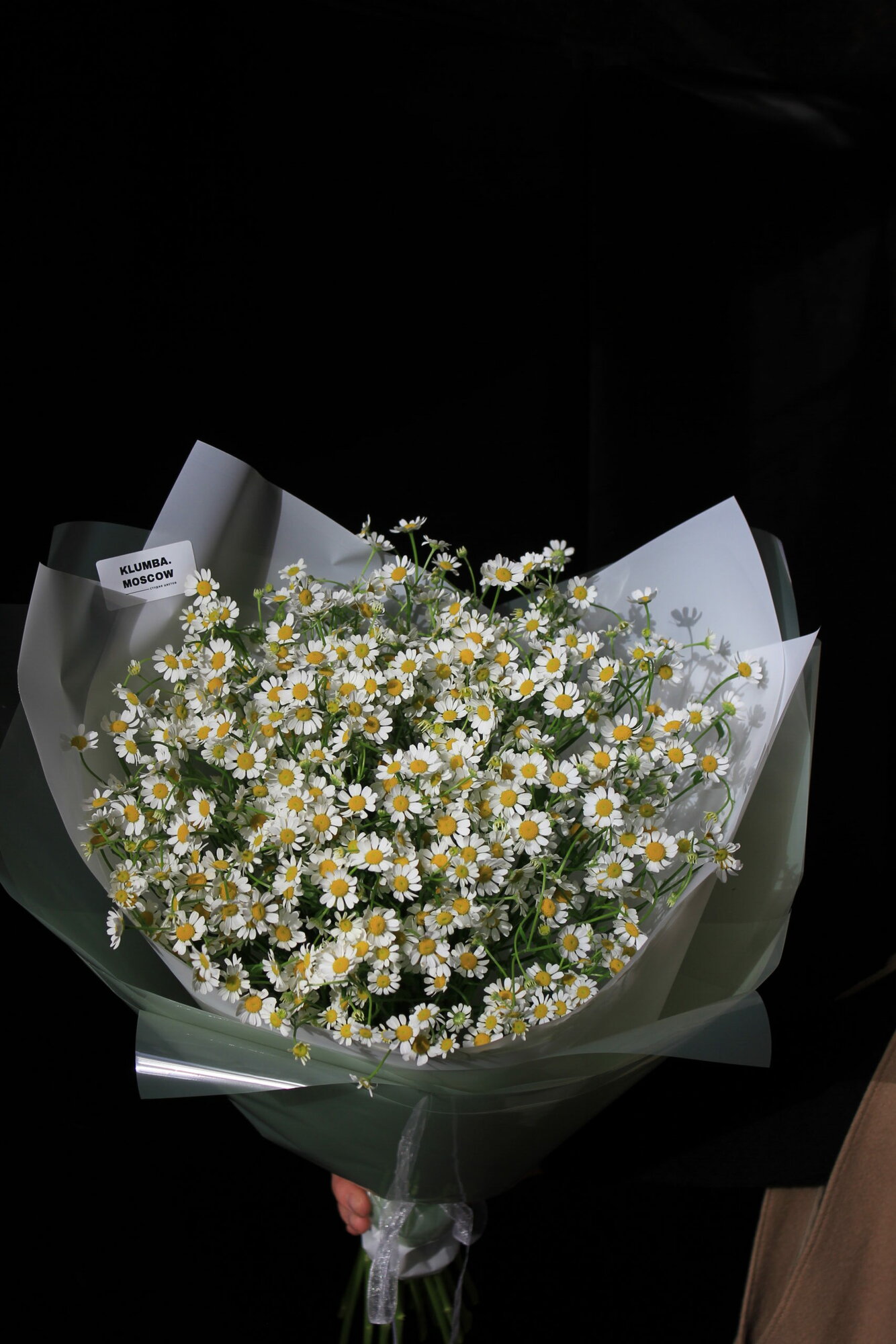 Букет из 19 кустовых ромашек от студии цветов KLUMBA.MOSCOW