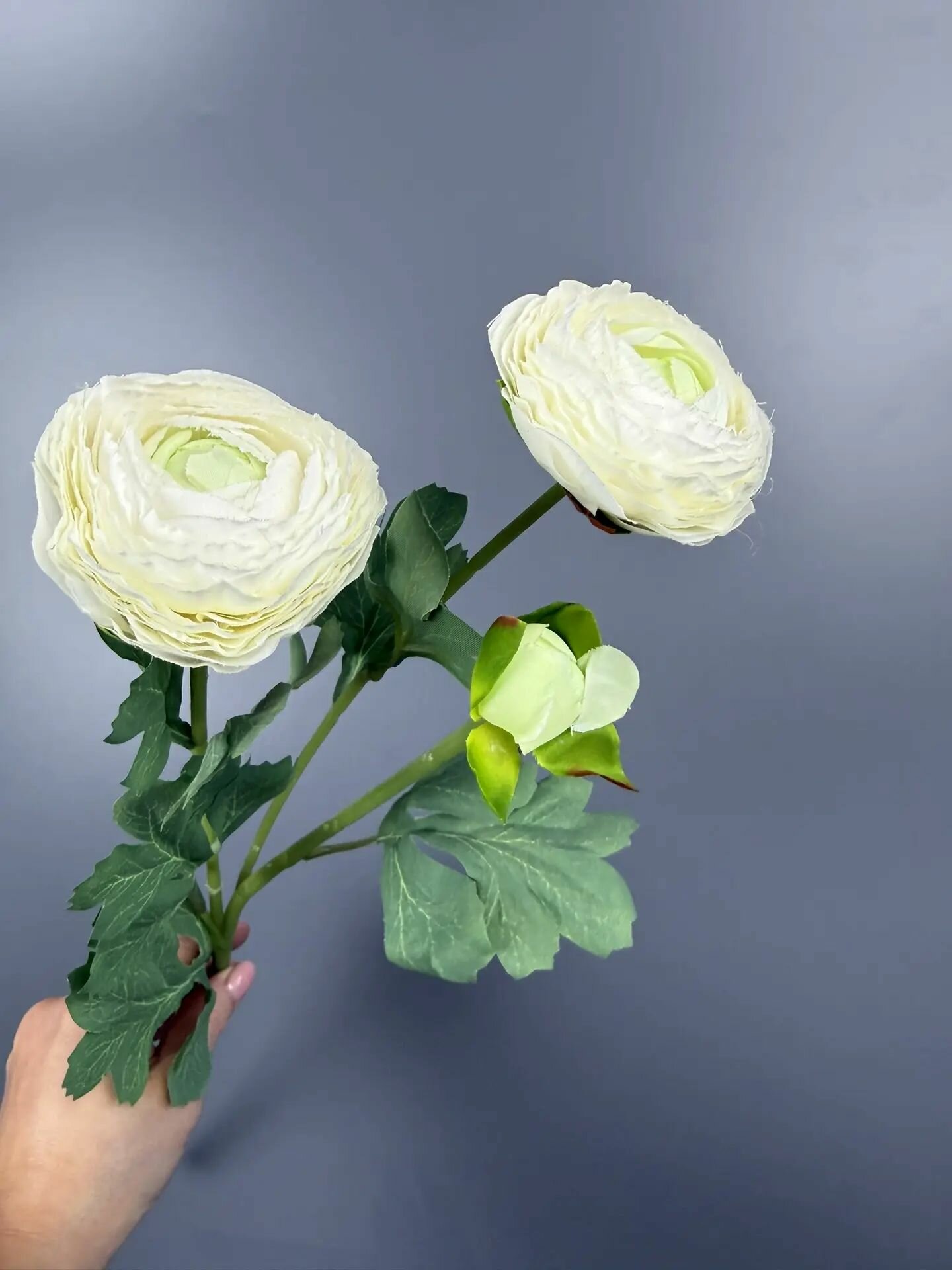 Искусственные цветы премиум для кашпо декора и интерьера Ранункулюс двуцветный крем зеленый флористический 50 см 1 ветка