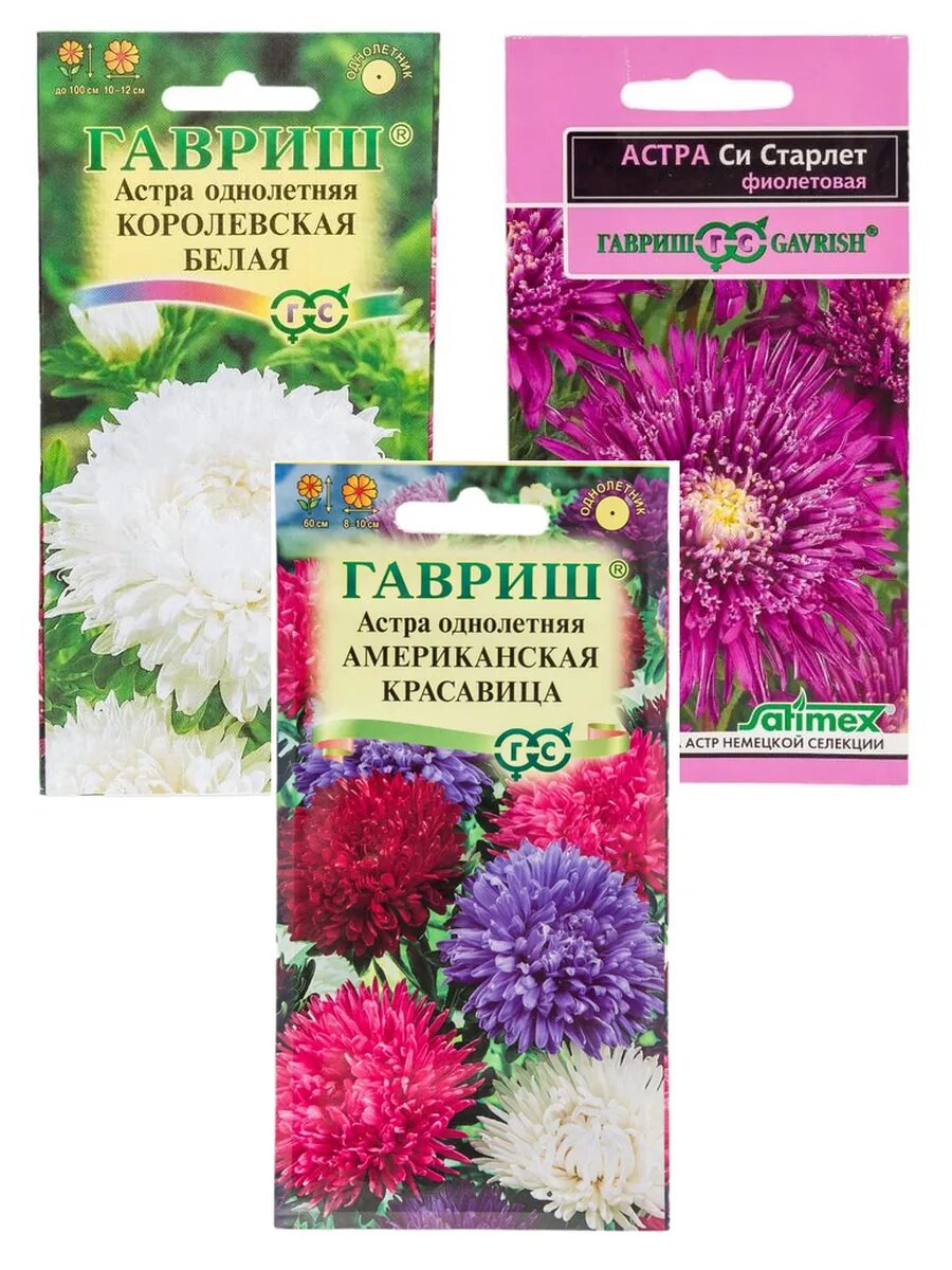 Набор семян Астра Королевская Белая, Эксклюзив и Американская красавица