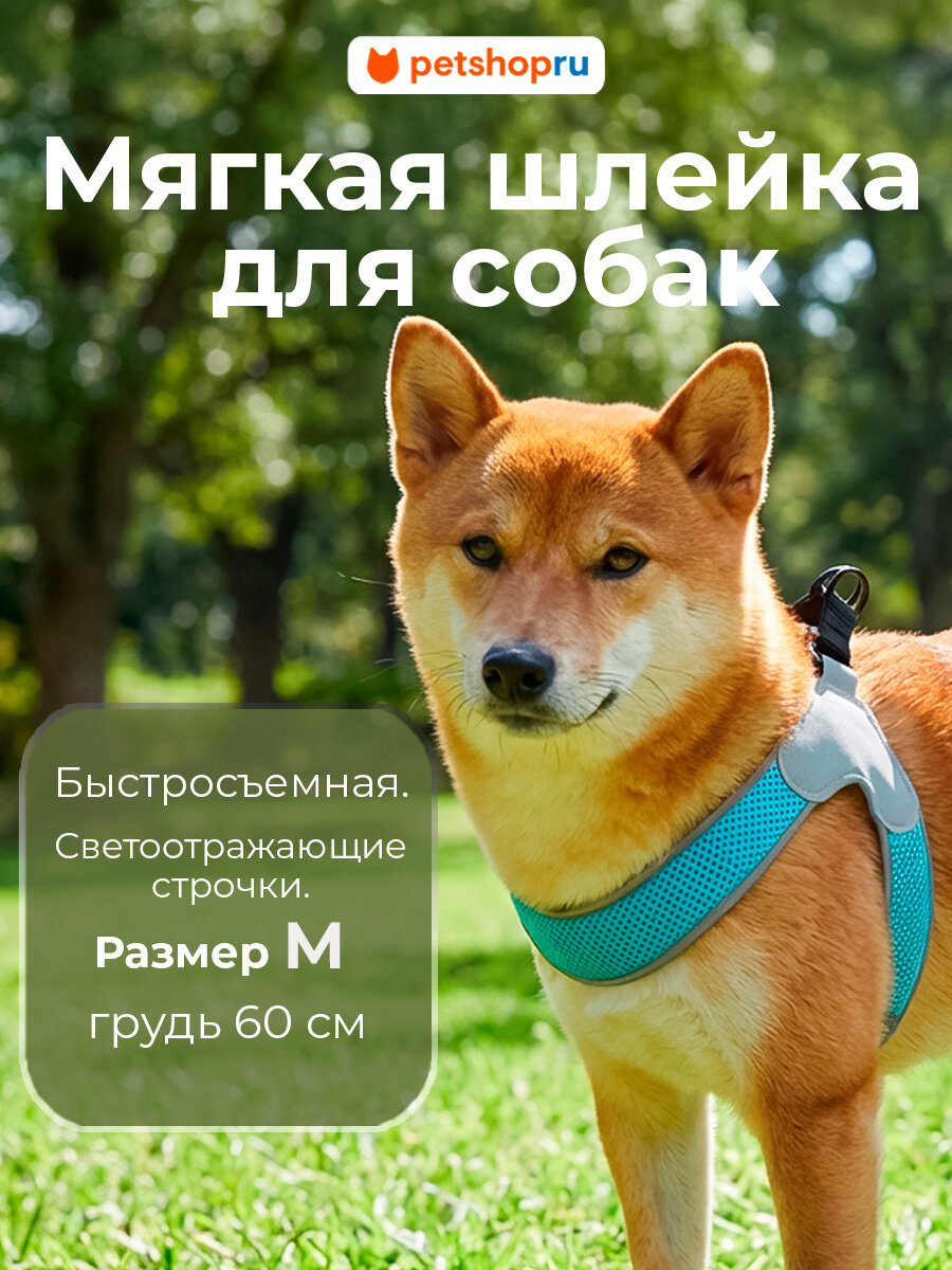 PETSHOP Шлейка для собак мягкая "Спайк" M, бирюзовая