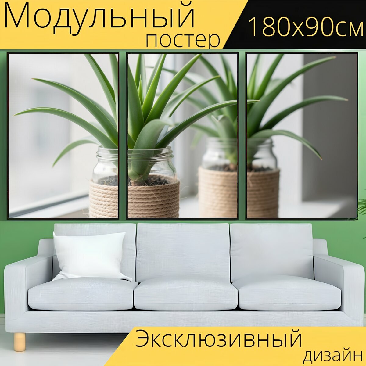Модульный постер "Зеленые суккуленты в стеклянных банках. Комнатные растения на подоконнике у окна, минимализм, скандинавский стиль." 180 x 90 см. для интерьера на стену в тубусе