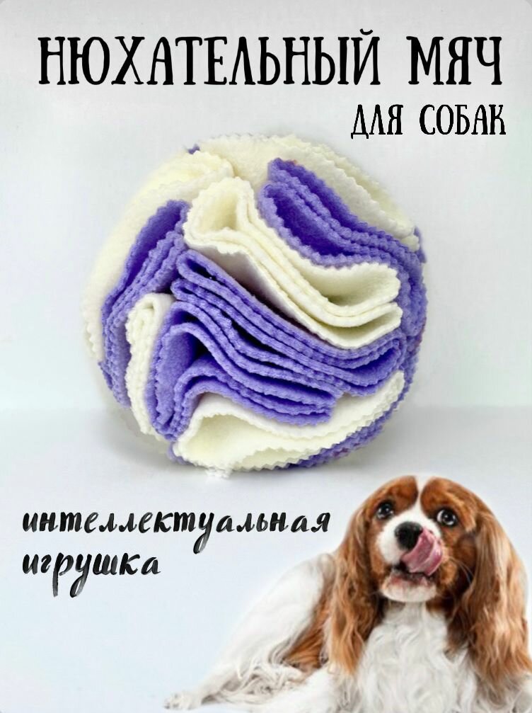 Нюхательный поисковый мяч, шар для собак, игрушка для поиска еды, корма, лакомств