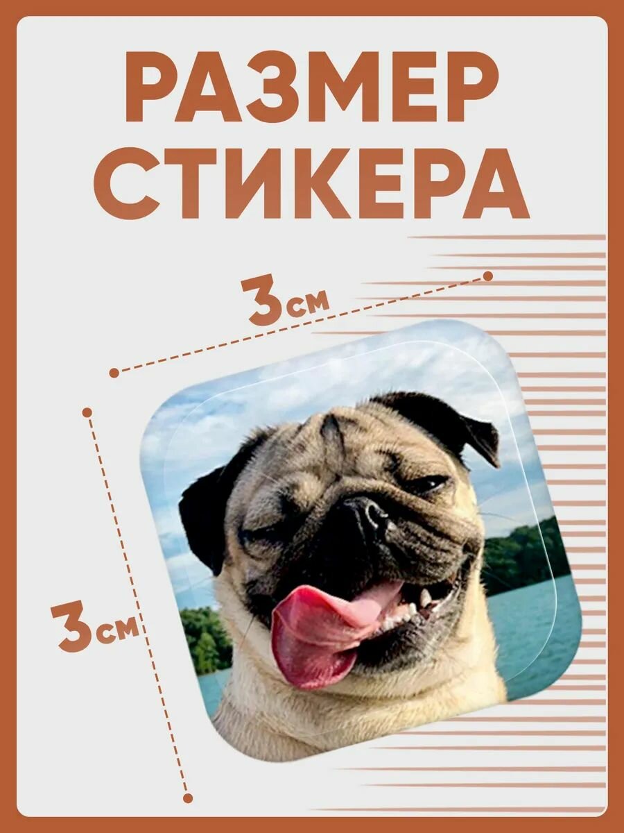 3D стикеры на телефон Мопс — фото 1