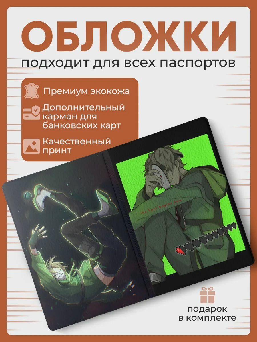 Обложка для паспорта СП СТОУНИ