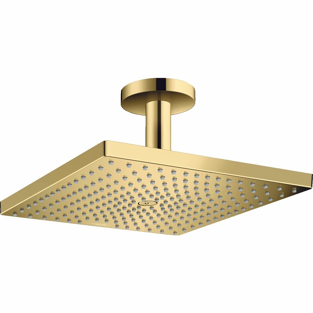 Верхний душ 300 1jet Hansgrohe Raindance E 26250990