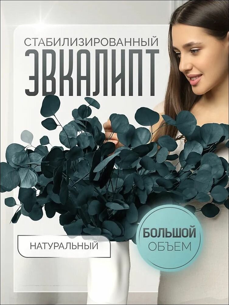 Blissed Сухоцветы Эвкалипт, 65 см, 150 гр