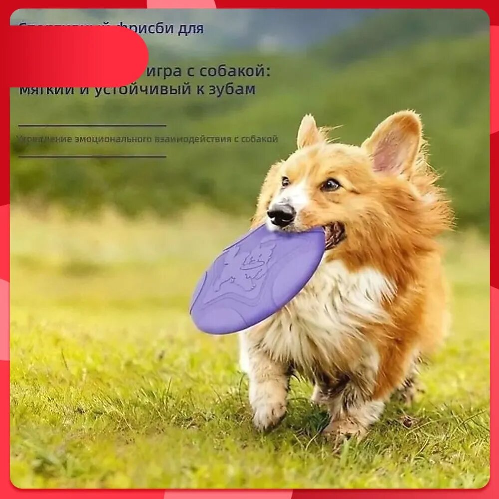 Летающий диск для собак Pet Frisbee, 22 см, фиолетовый