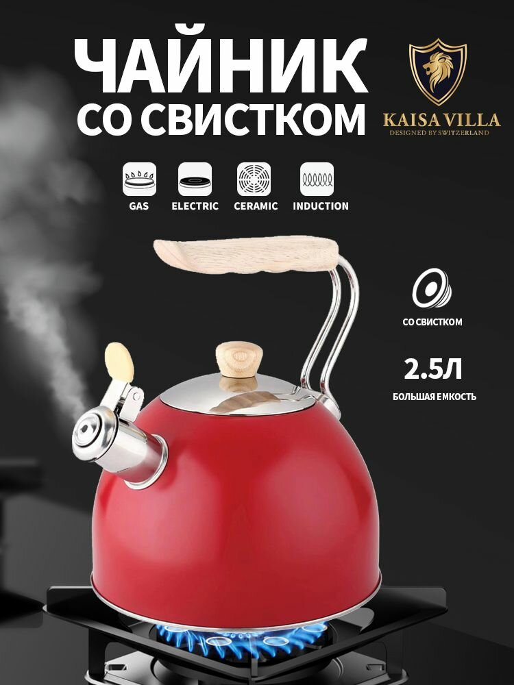 Чайник со свистком Kaisa Villa 2.5 л из нержавеющей стали, KV-528, для всех видов плит, для индукционных плит