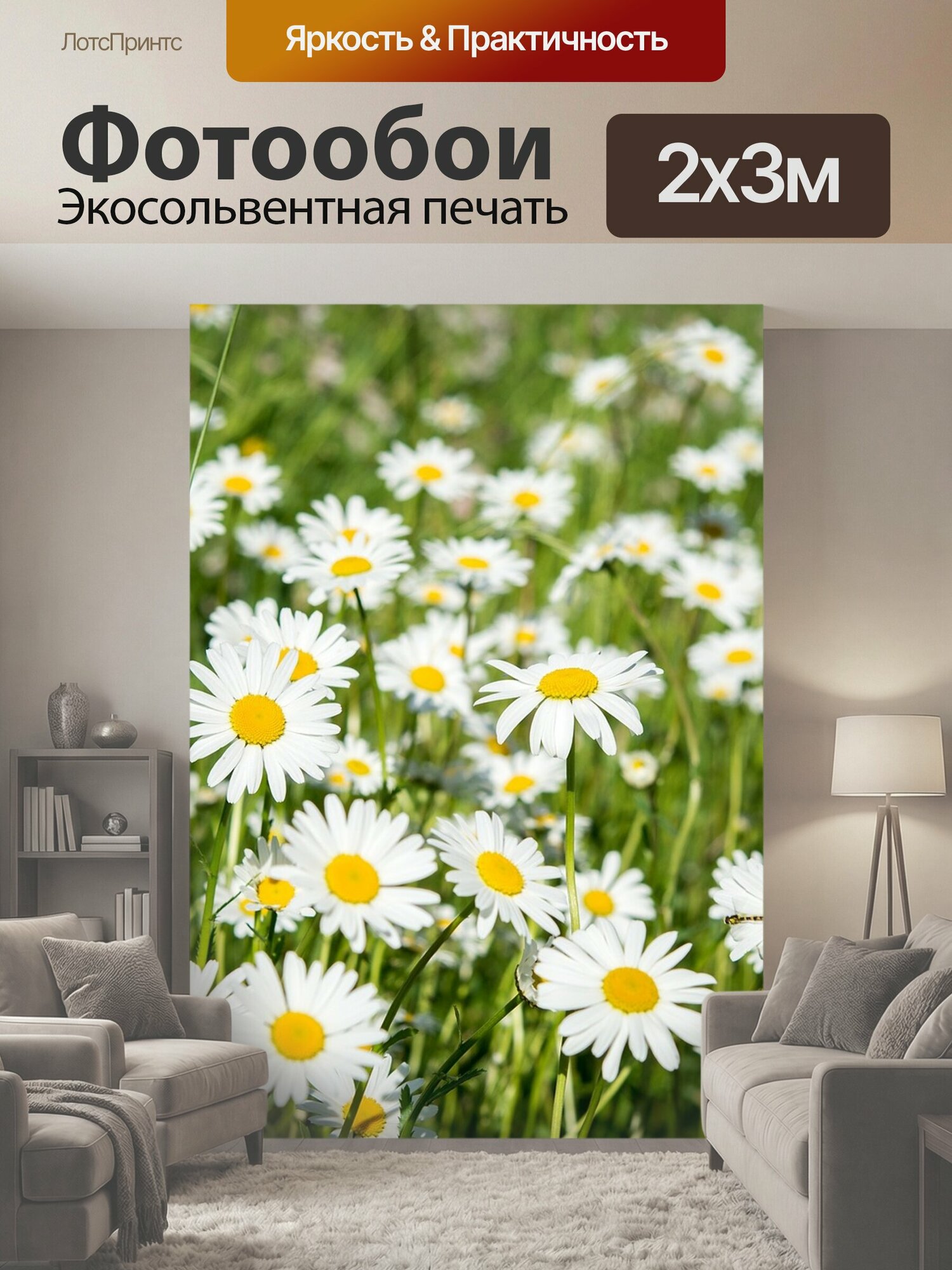 Фотообои "Ромашки, луговые ромашки, луговые цветы" 200x300 см. экосольвентная печать