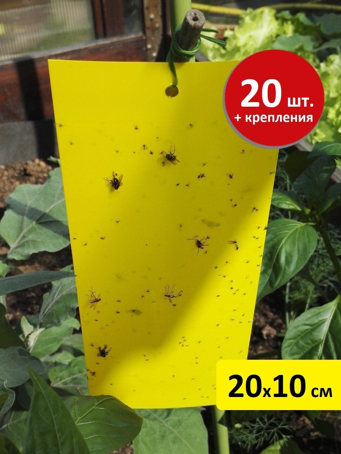 Клеевая ловушка для насекомых белокрылки мошки 20х10см 20 шт.