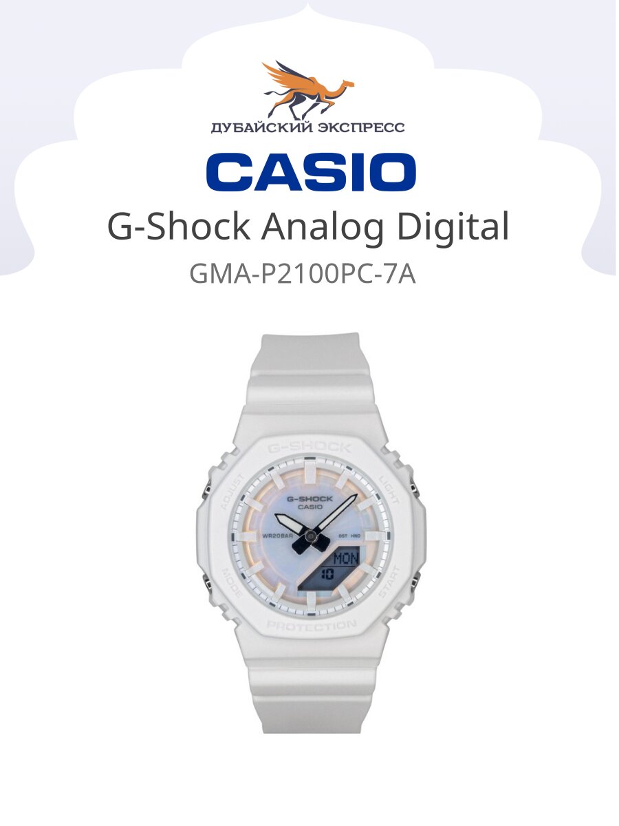  CASIO