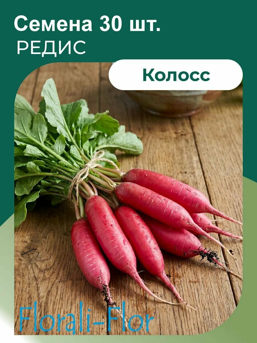 Редис Семена