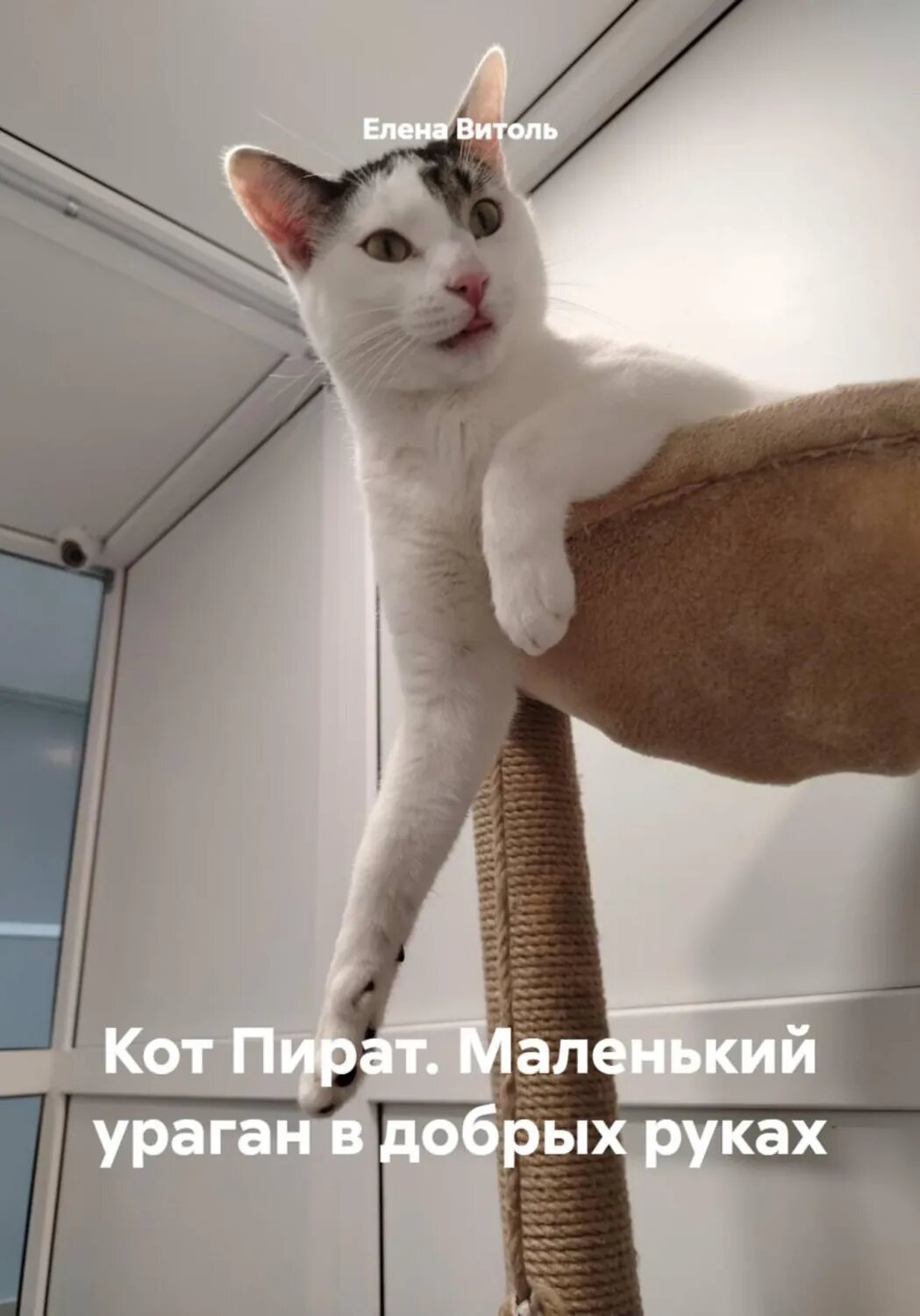 Кот Пират. Маленький ураган в добрых руках [Цифровая книга]