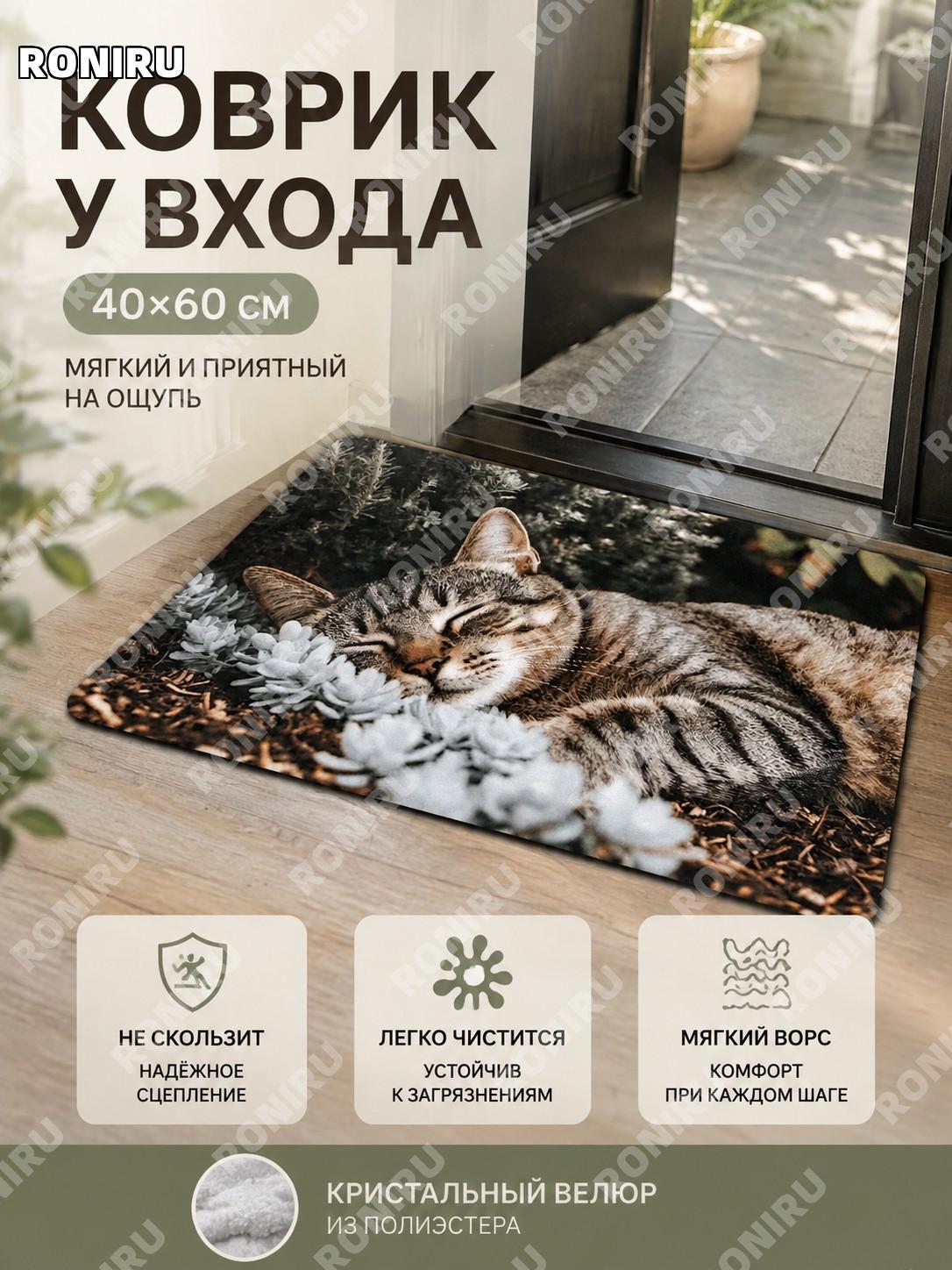 Коврик для кошки из хрустального велюра 40×60 см, придверный коврик для входной двери, напольный мат домашний уют