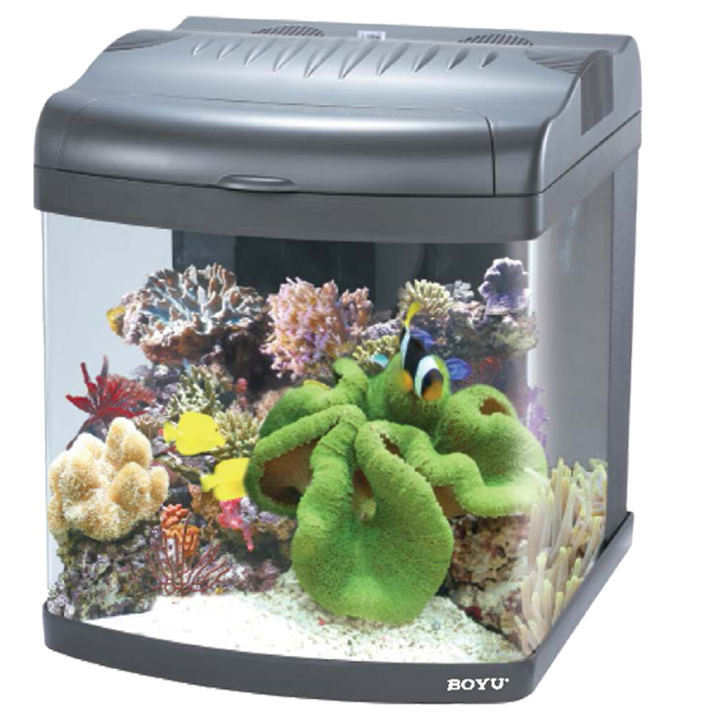 Аквариум для рыбок Boyu Mini MT-408A, 32 л, с фильтром, 1 LED лампа, серый