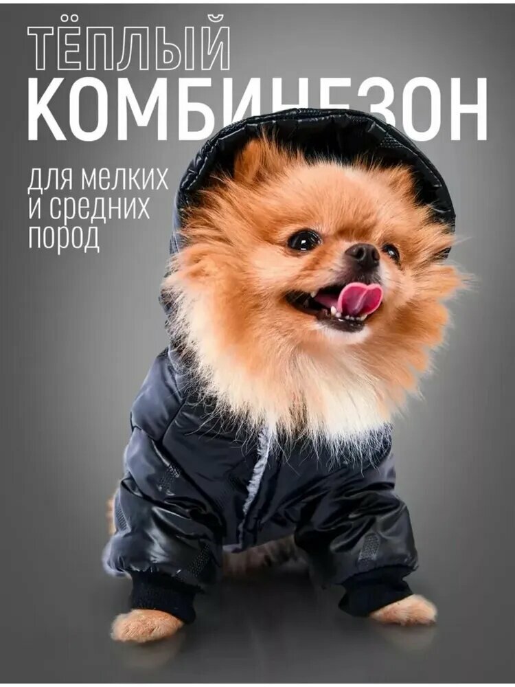 KNOW EASY-Демисезонный комбинезон-куртка для мелких и средних собак водоотталкивающий с флисом, капюшон, размеры L (для йорков, шпицев, мопсов, чихуахуа)