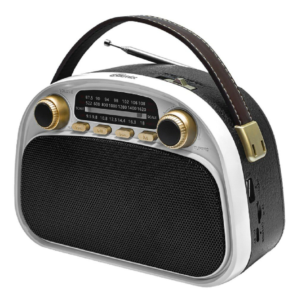 Радиоприемник Ritmix RPR-040