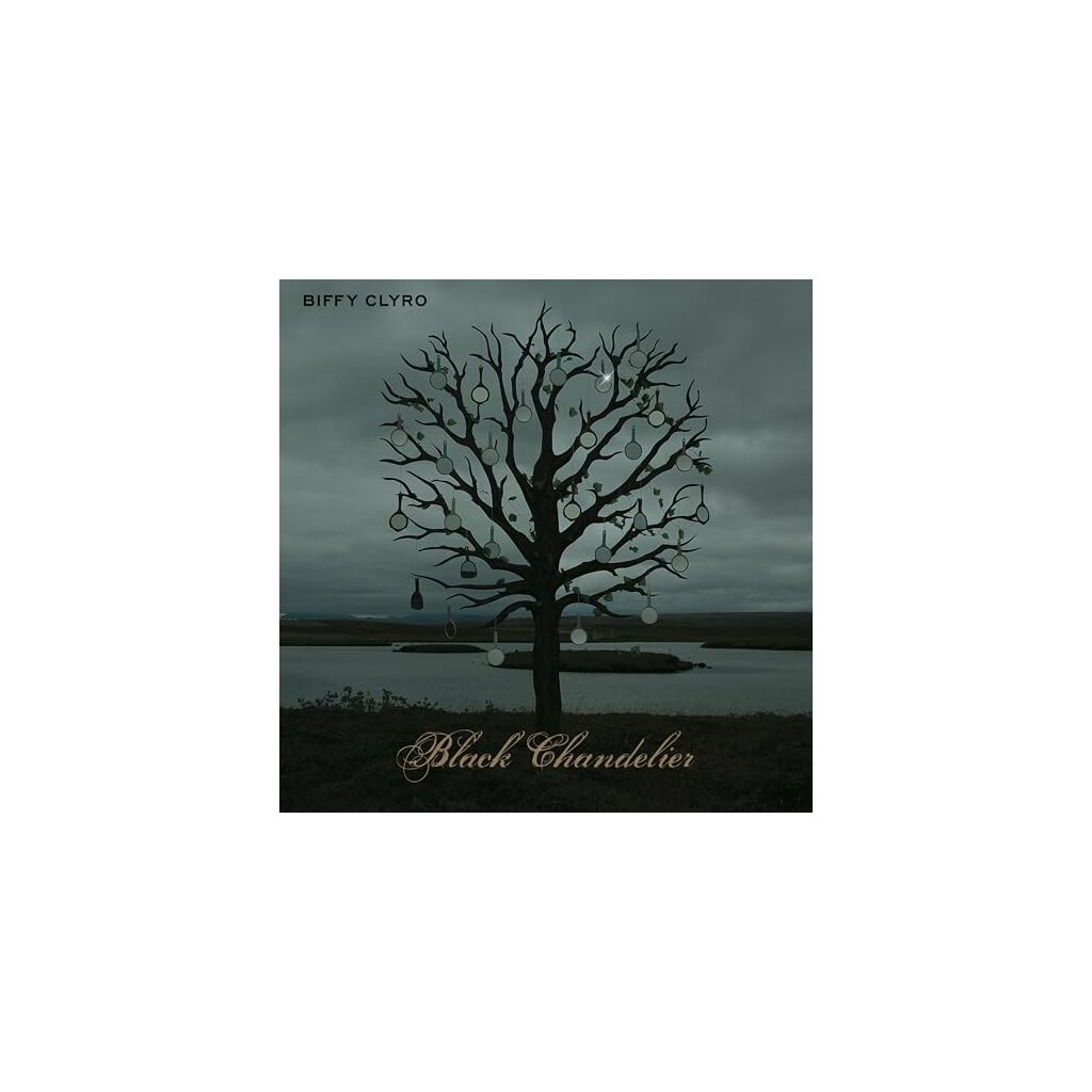 Виниловая пластинка Biffy Clyro - Black Chandelier / Biblical (1 LP)