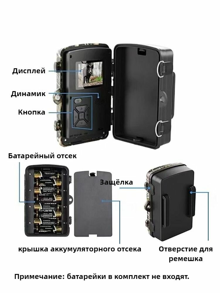 Фотоловушка — фото 1