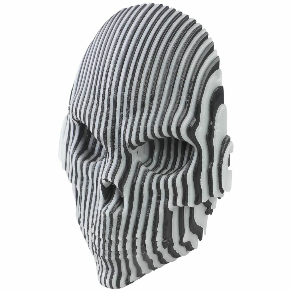 3D-модель светящегося черепа, Черно-белый