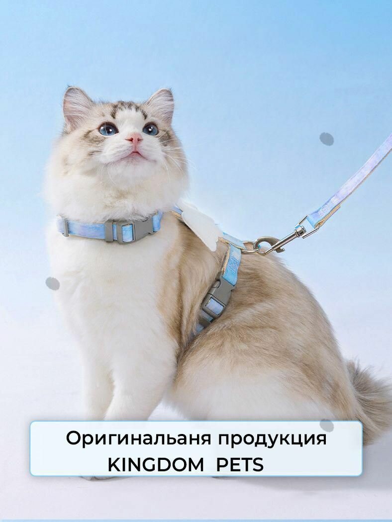 Шлейка — фото 1