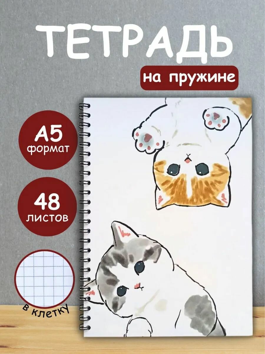 Тетрадь в клетку 48 листов на пружине , блокнот А5 Милые котики