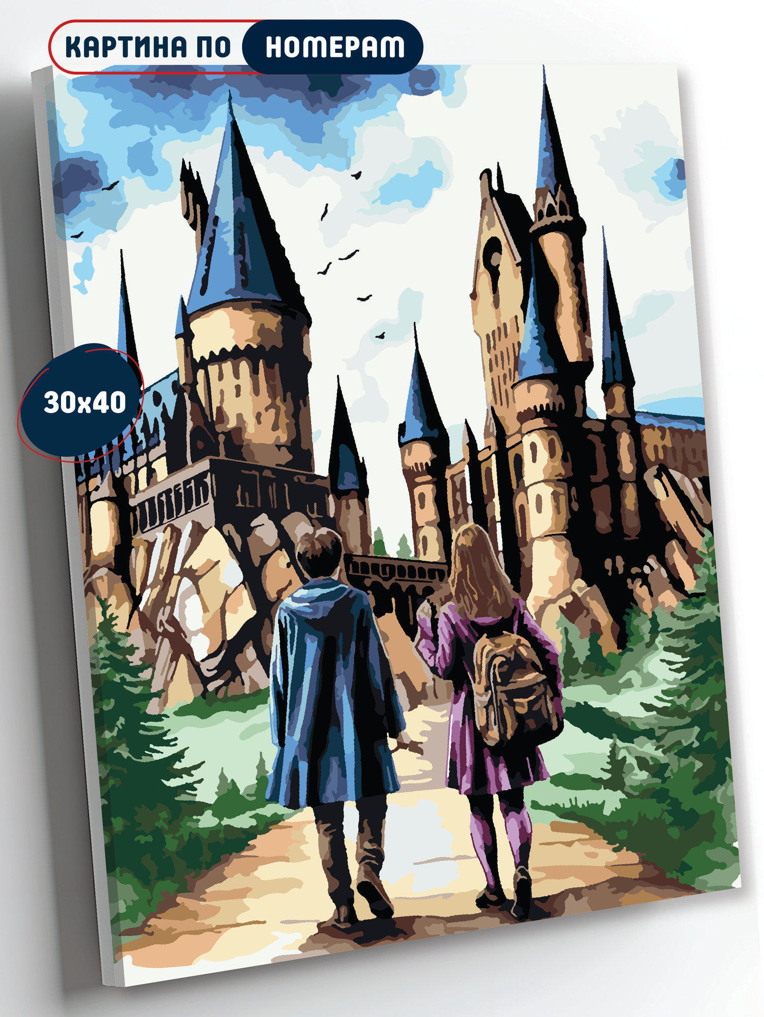 Картина по номерам "Гарри Поттер и Гермиона 2", Холст на подрамнике 30х40, Набор для рисования