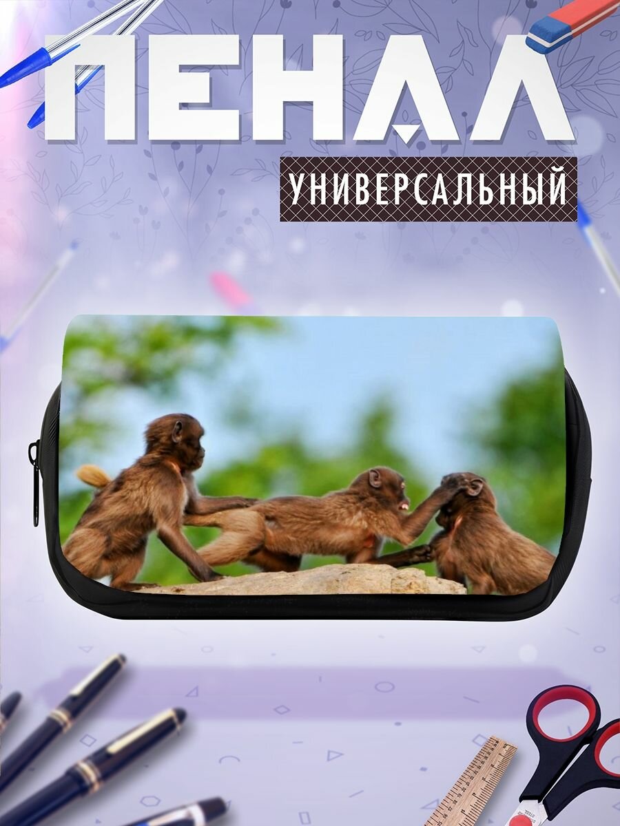 Школьный пенал примас макака