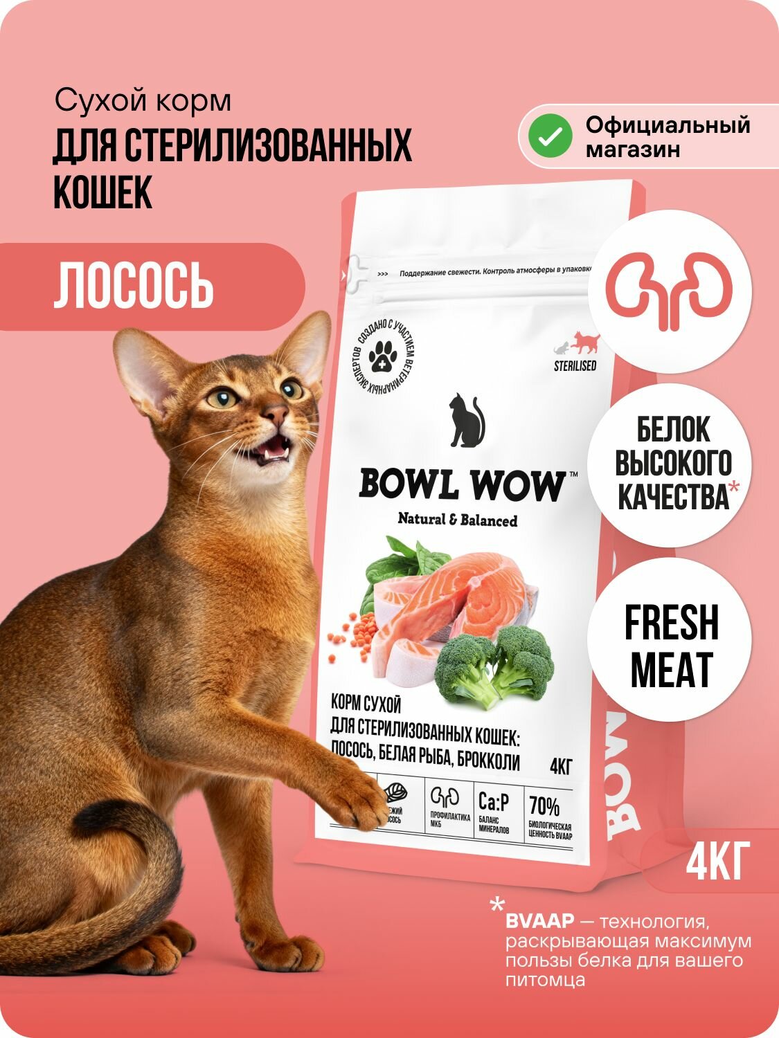 Корм для кошек сухой BOWL WOW холистик с лососем, броколли и белой рыбой / Корм для кошек сухой стерилизованных, 4кг