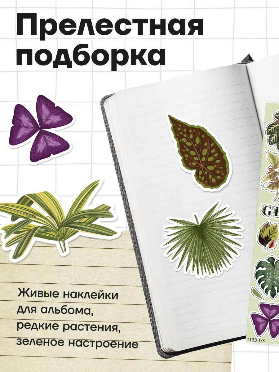 Набор наклеек Stick to Stick "Ботаника", многоразовые, винил — фото 1