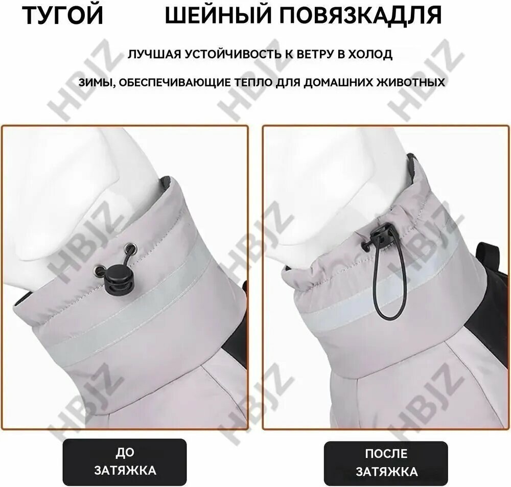 Одежда для животных — фото 1
