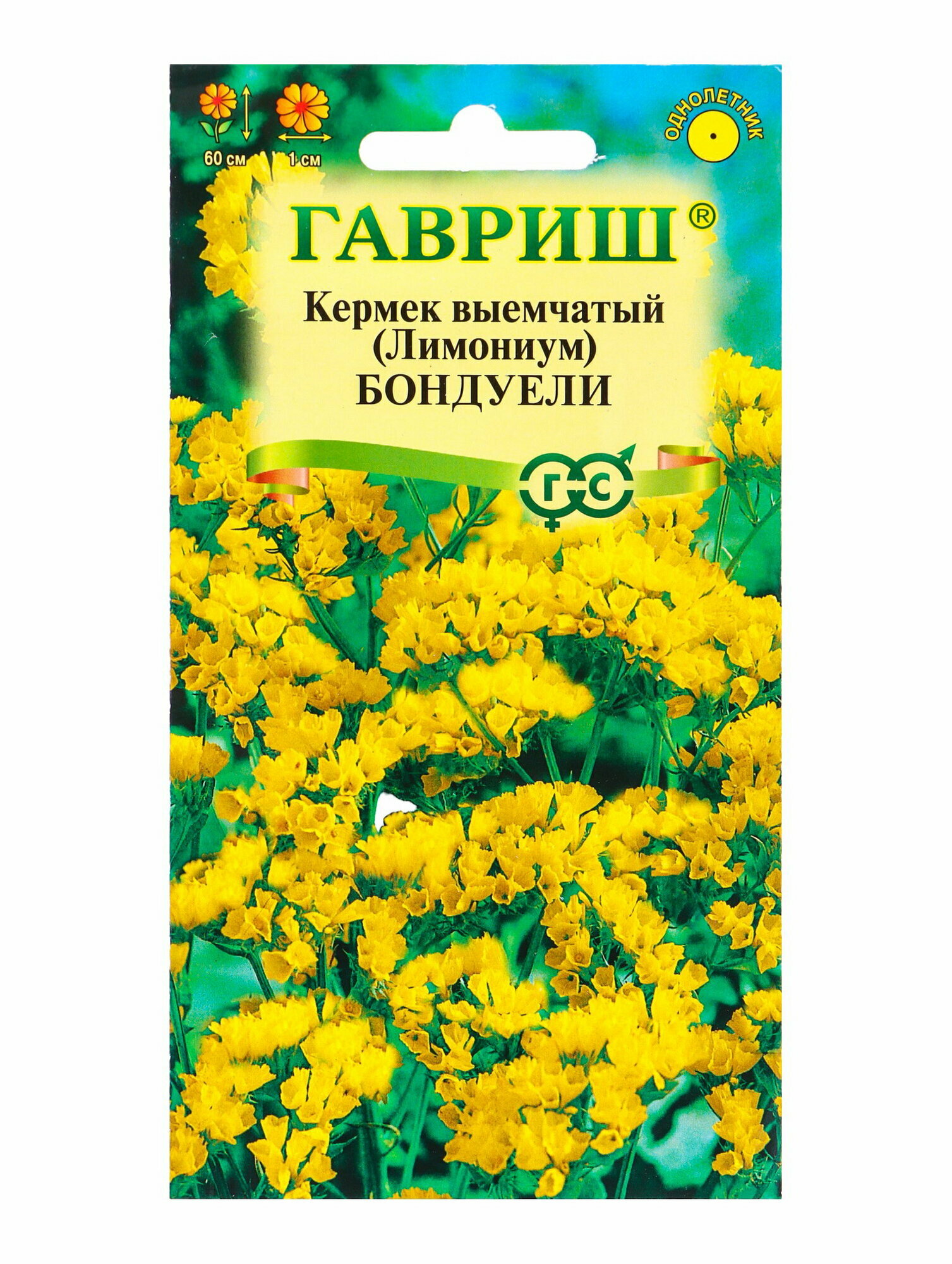 Семена цветов Кермек, вид: кермек, по форме куста: кустовая, высота растений: 60-100 см, 6 шт.