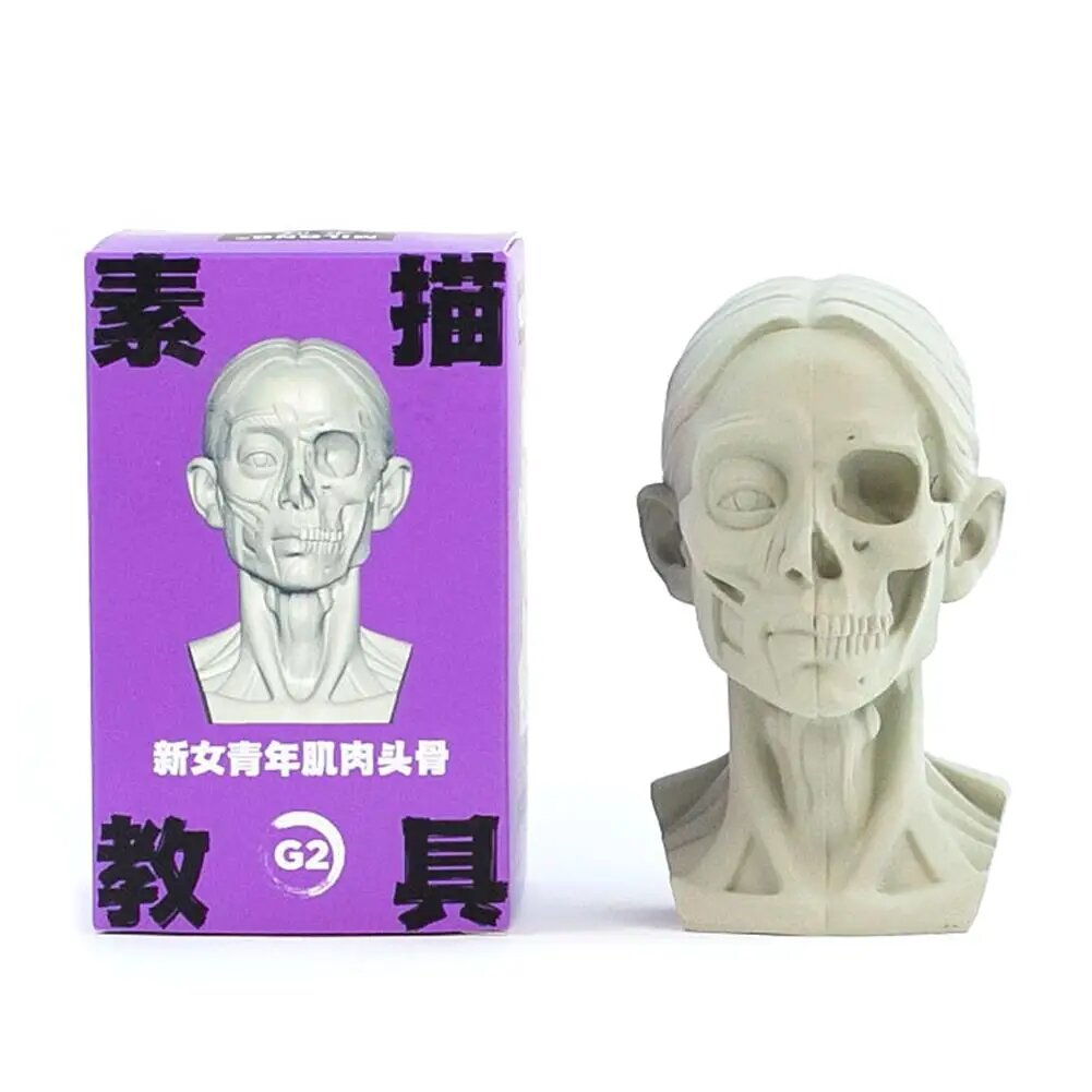 Резиновая модель головы для рисования Q