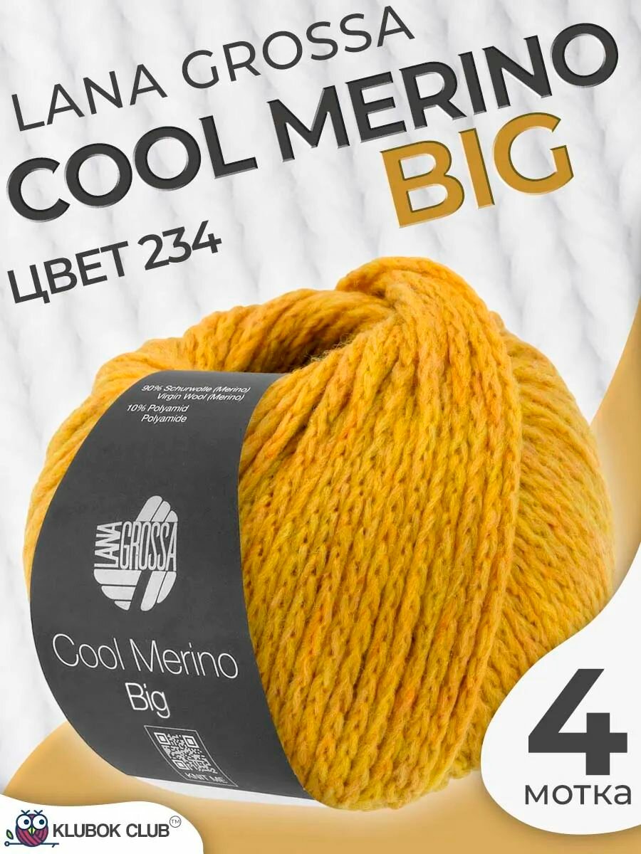 Пряжа для вязания Lana Grossa Cool Merino Big шнурок, цвет 234, 4 мотка