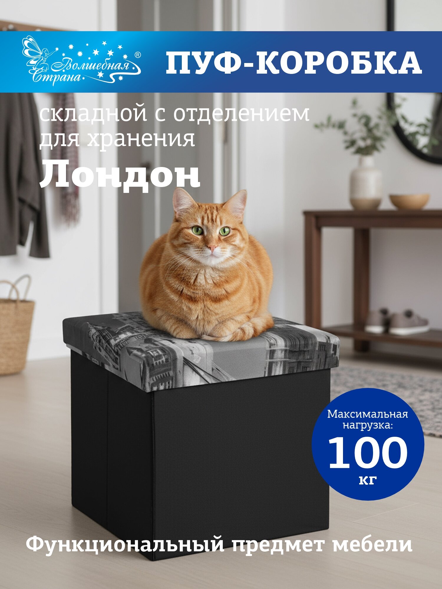 Пуф складной с отделением для хранения "Лондон", 32 х 30 х 30 см