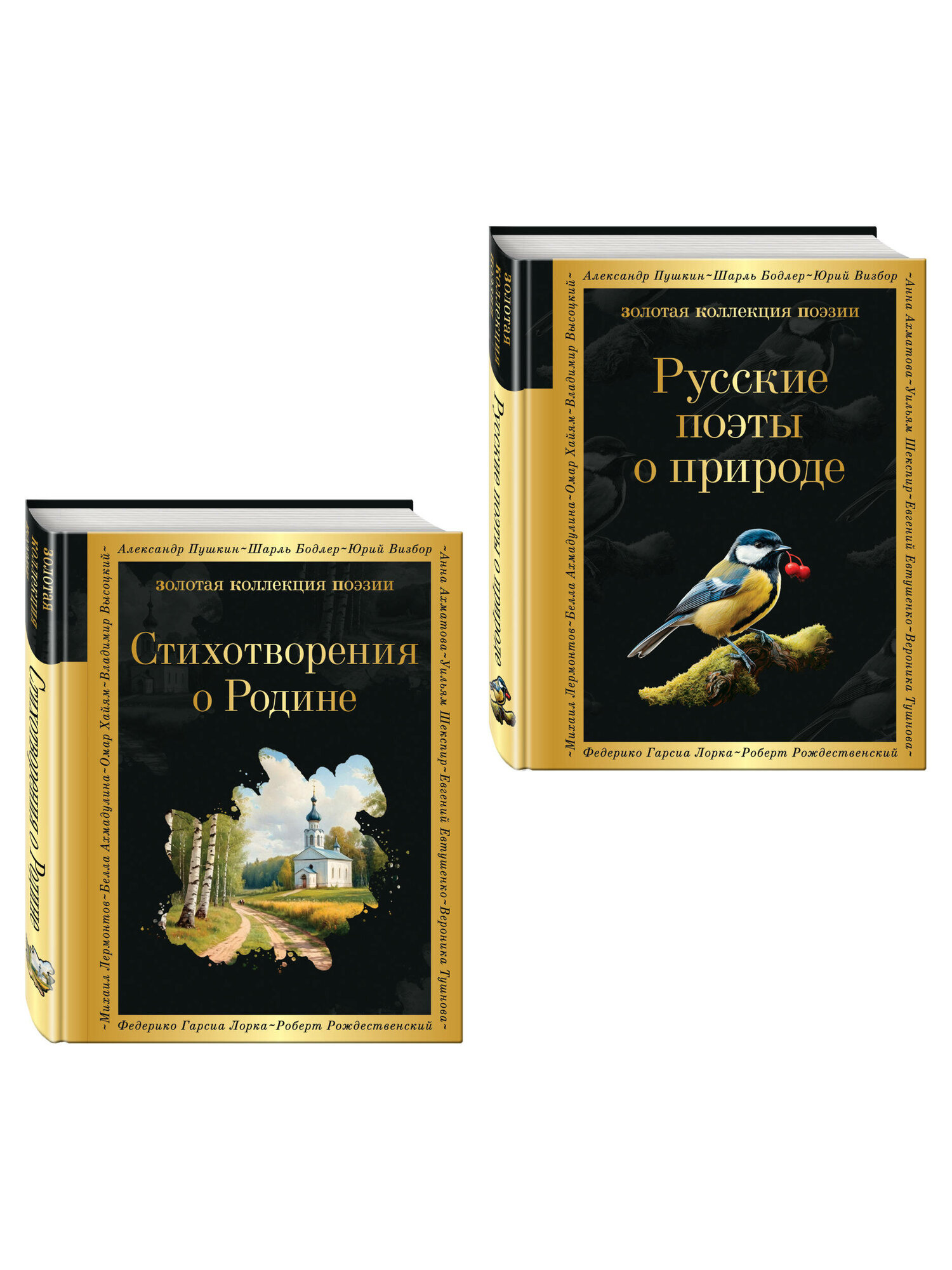 Комплект Родина моя (из 2-х книг Русские поэты о природе Стихотворения о Родине)