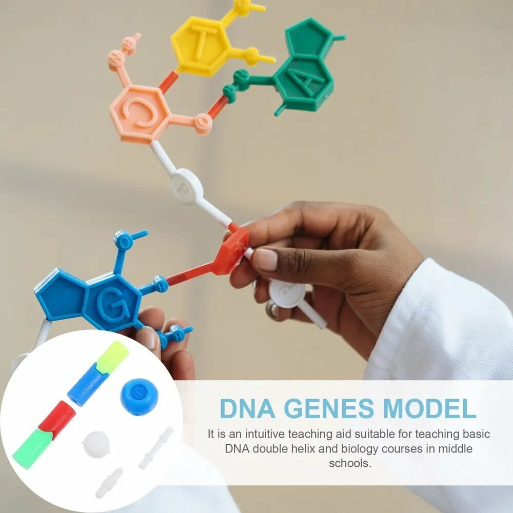 1 Набор Моделей Двойной Спирали ДНК, Из Пластика, Для Обучающих Помощников