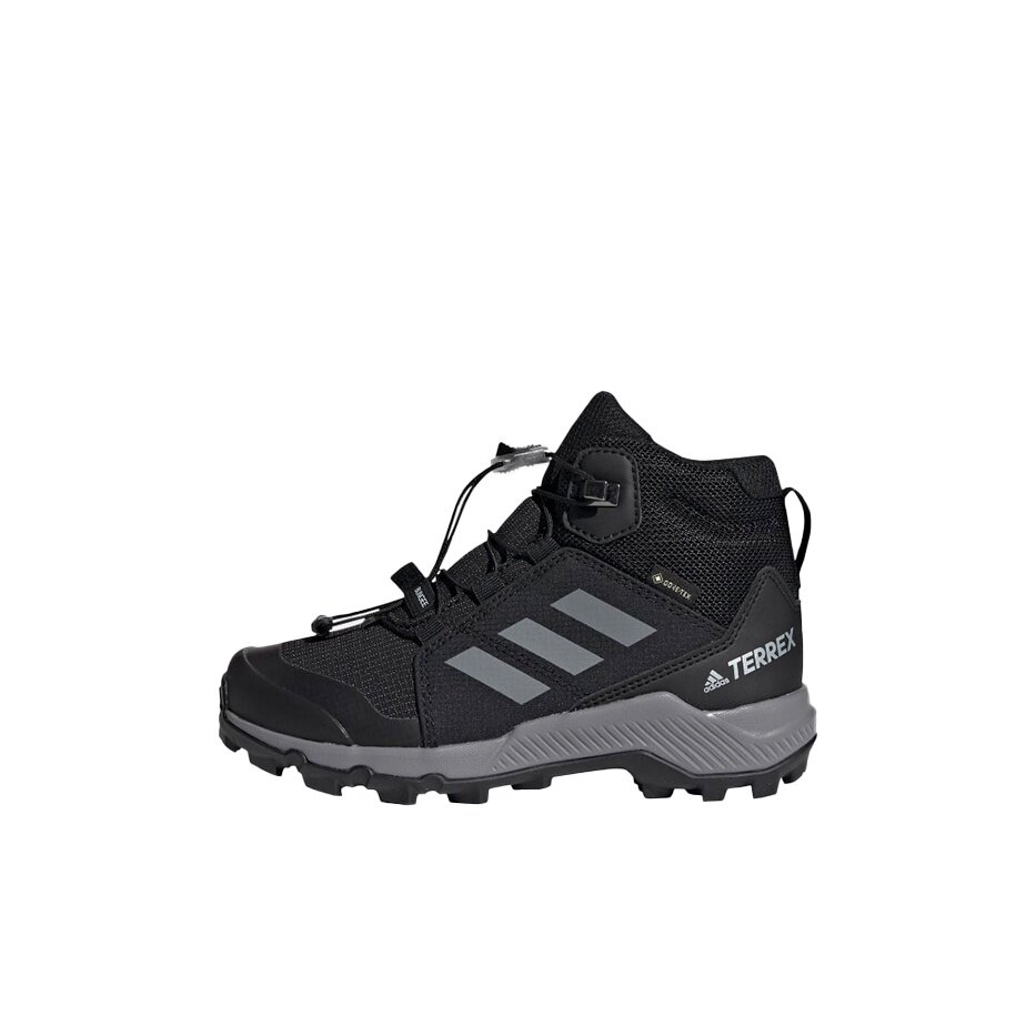 Ботинки Terrex Mid GTX