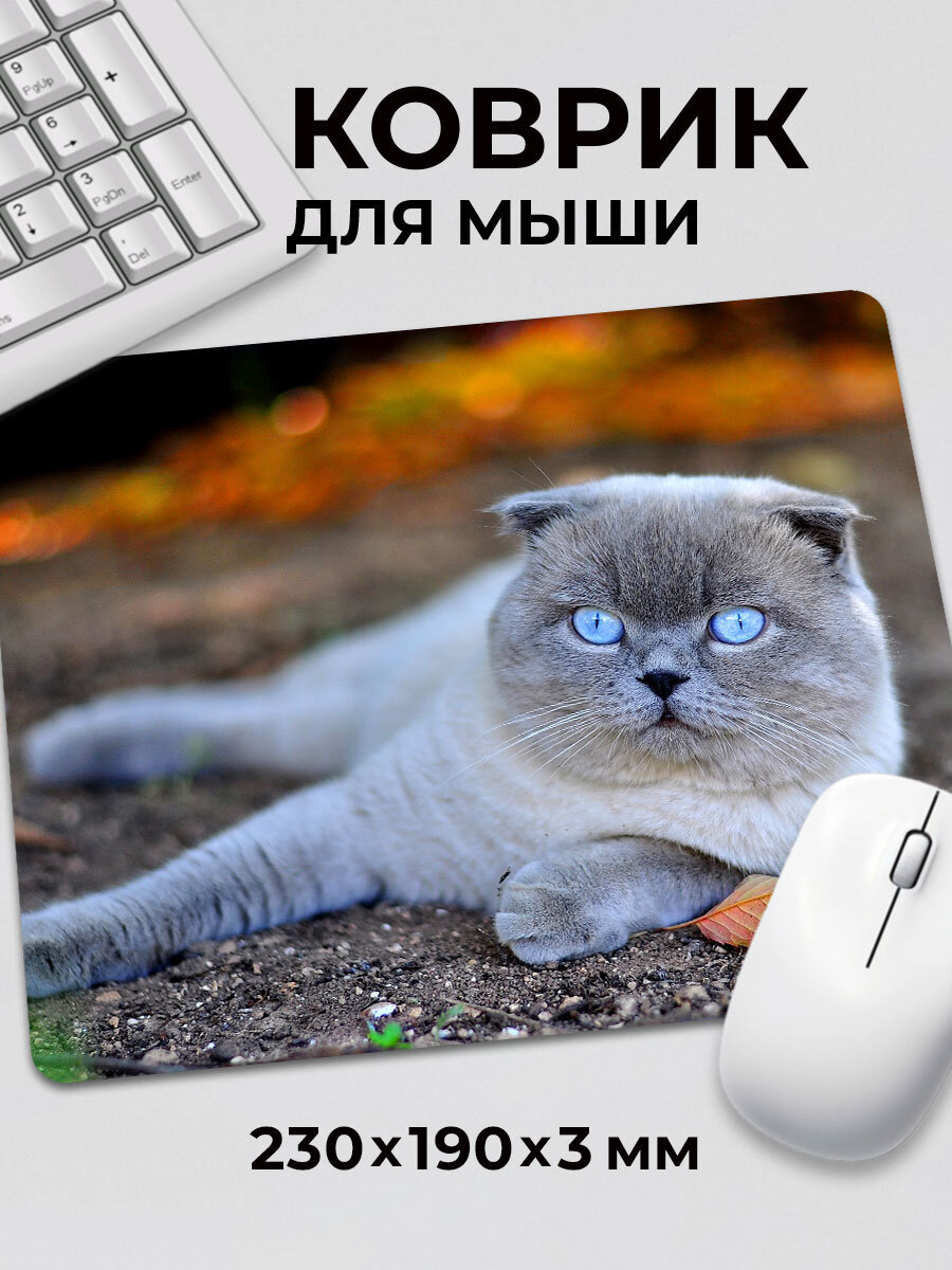 Коврик для мышки игровой Шотландский вислоухий серый кот c тканевой поверхностью, на нескользящем резиновом основании