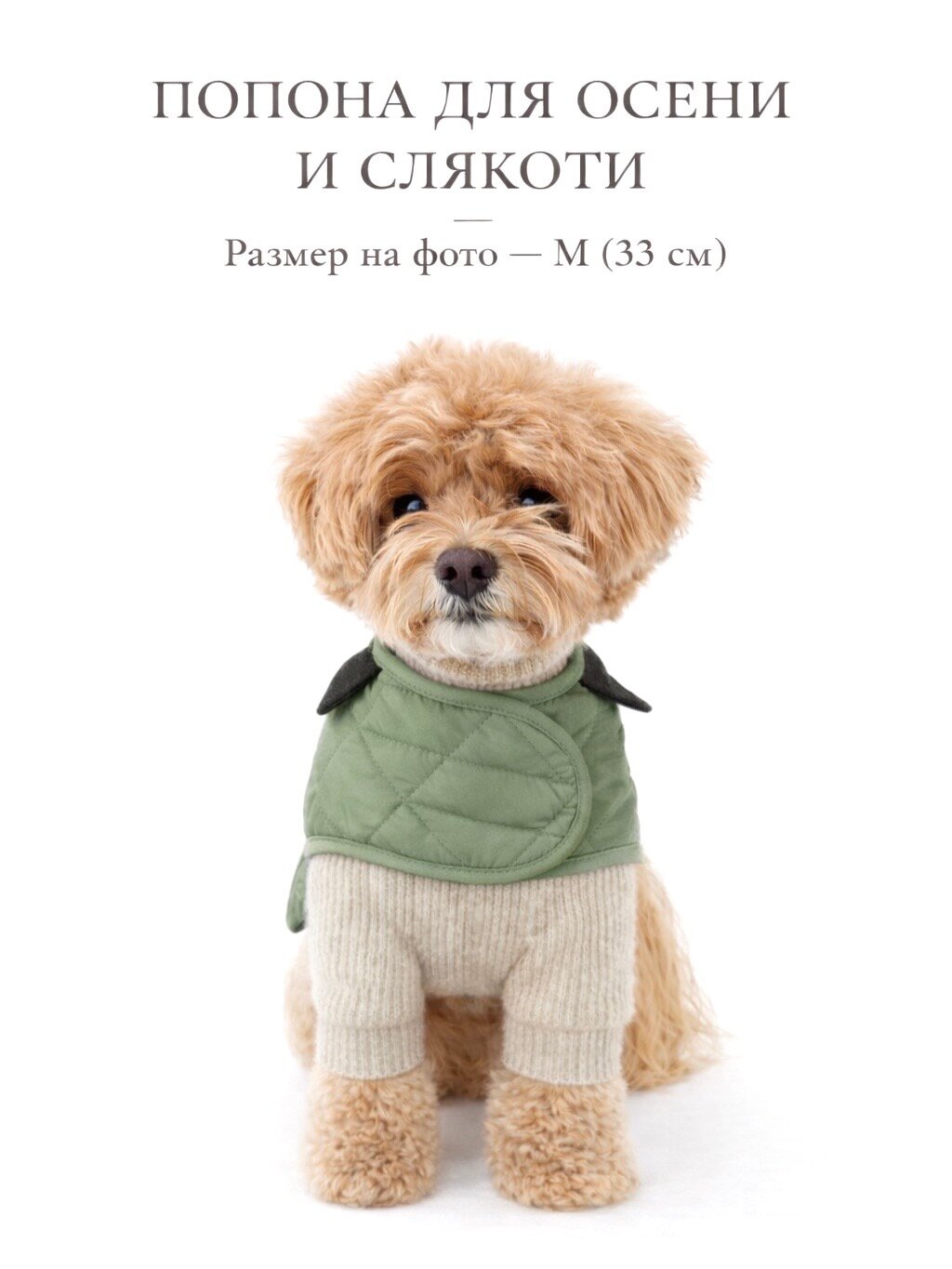 Попона/куртка стеганая, одежда для собак, размер M, зеленый